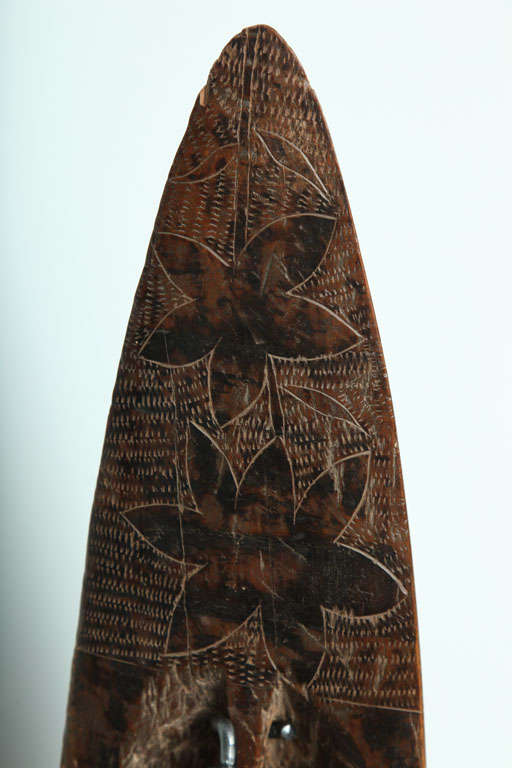 19th Century Aboriginal Parrying Shield at 1stDibs
