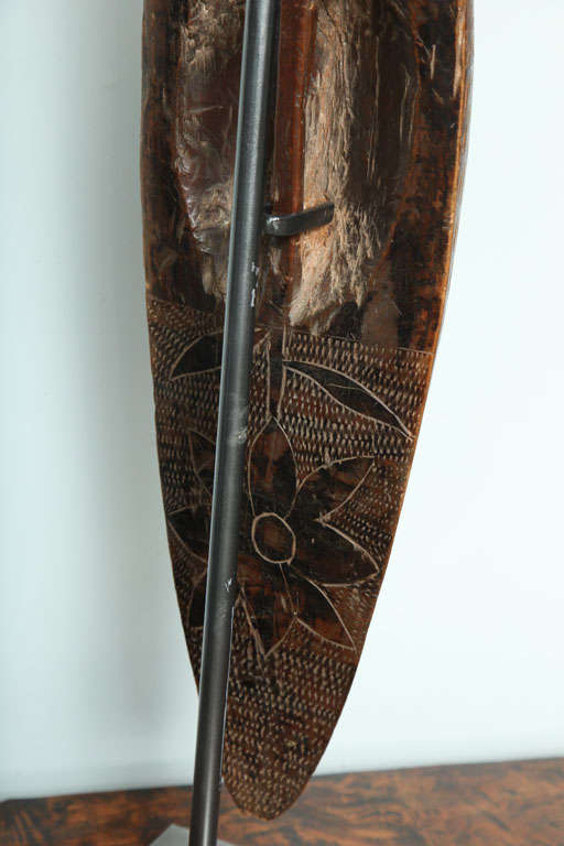 19th Century Aboriginal Parrying Shield at 1stDibs