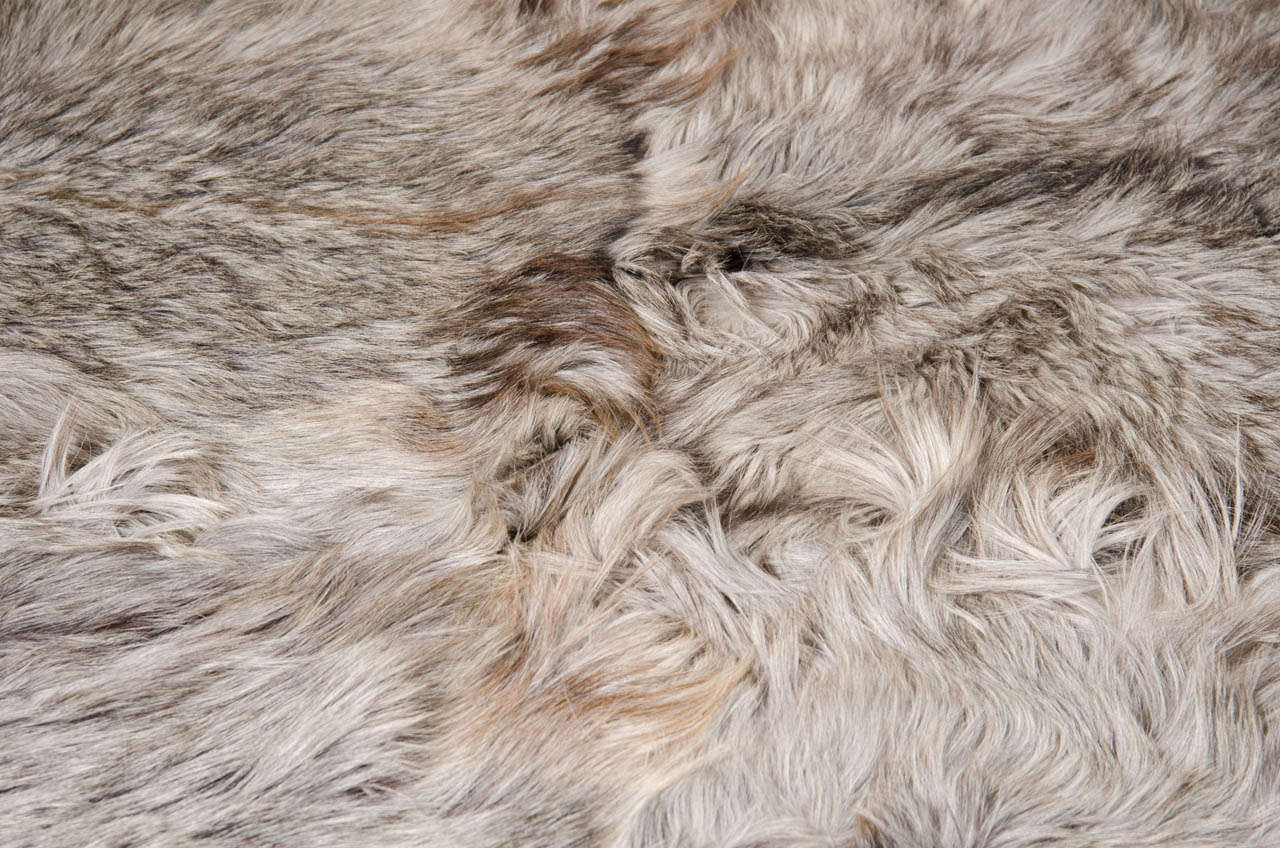 Long Hair Silver Goat Skin Rug at 1stDibs