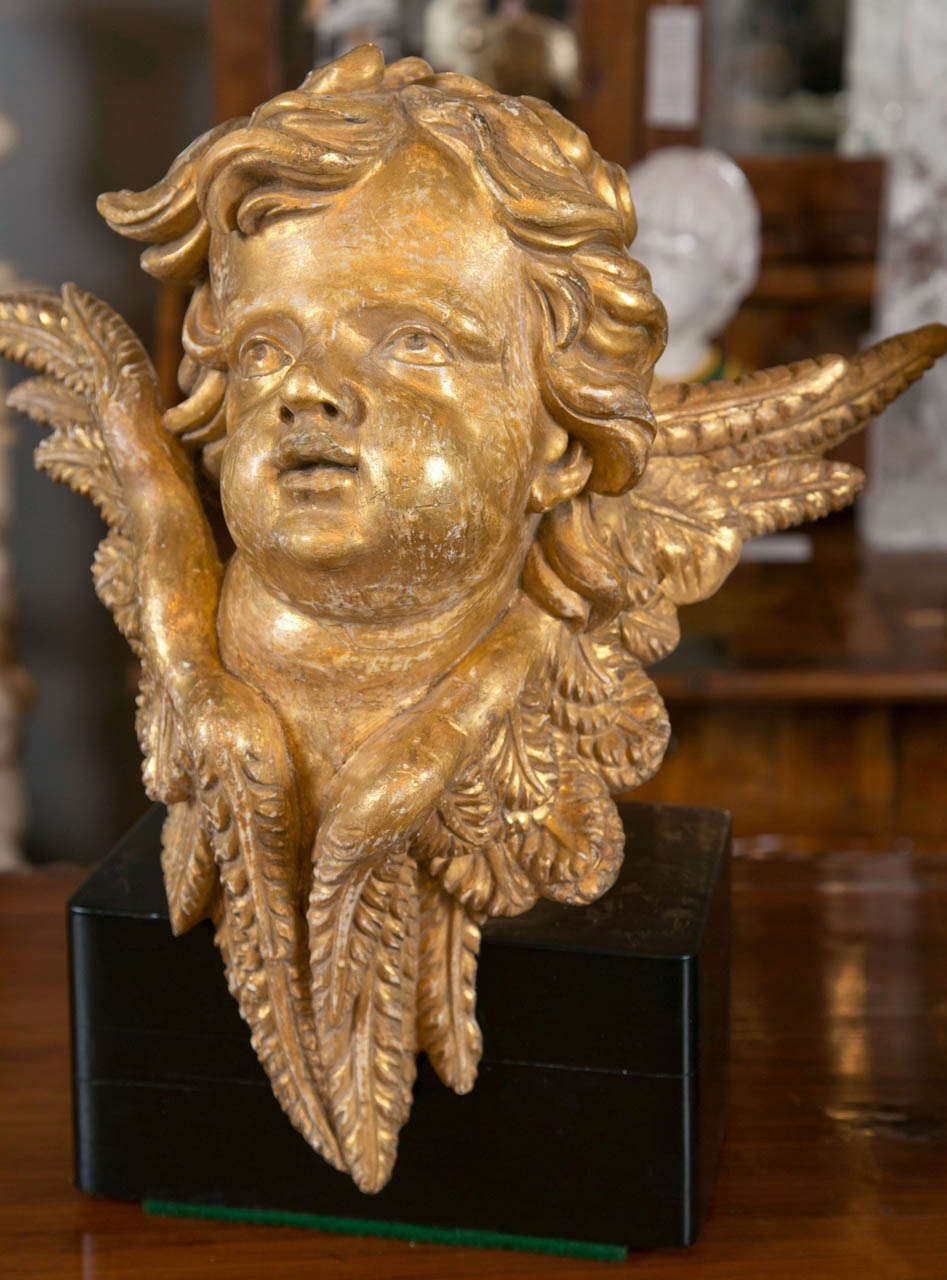 Pair of Late 17th Century Italian Cherubs Heads at 1stDibs