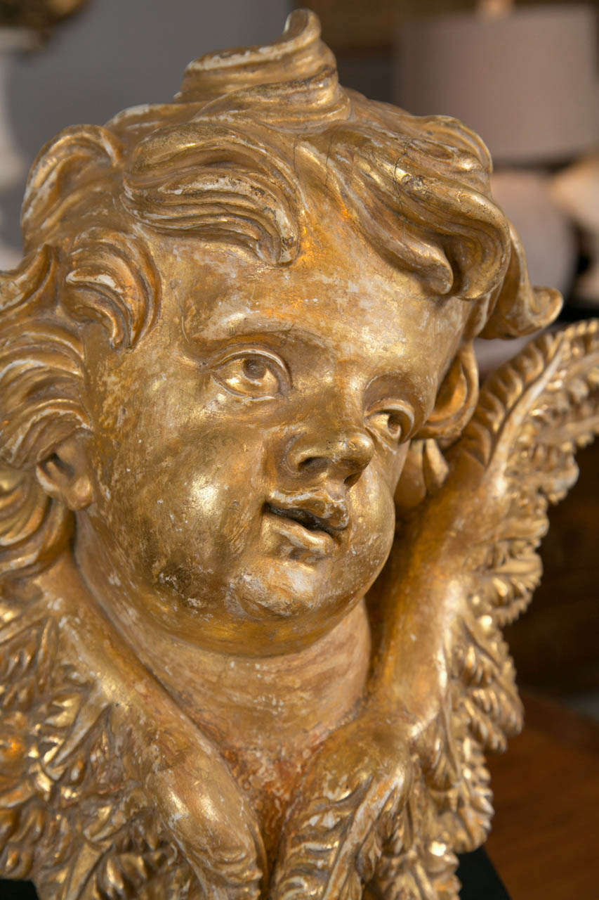 Pair of Late 17th Century Italian Cherubs Heads at 1stDibs