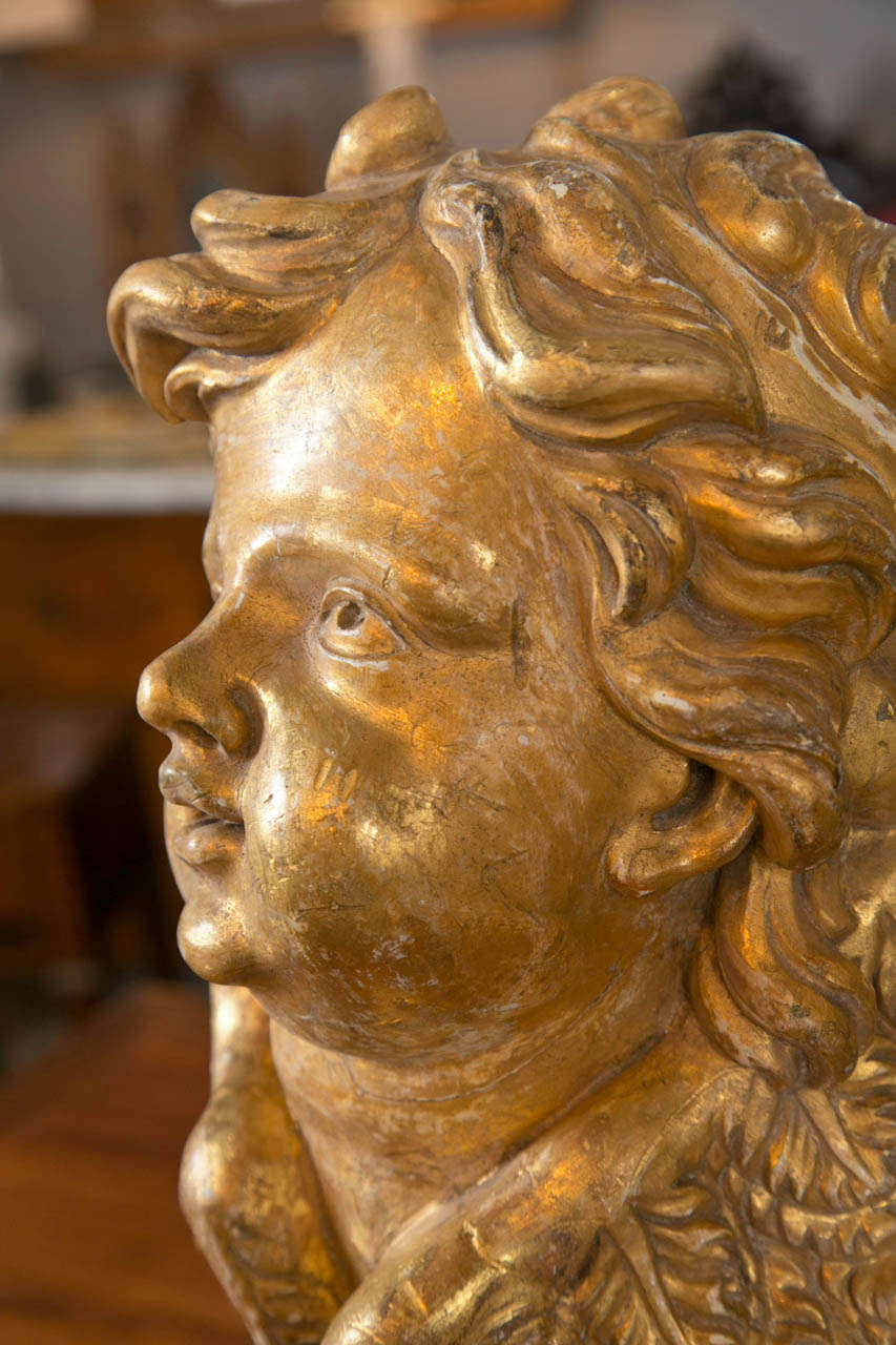 Pair of Late 17th Century Italian Cherubs Heads at 1stDibs