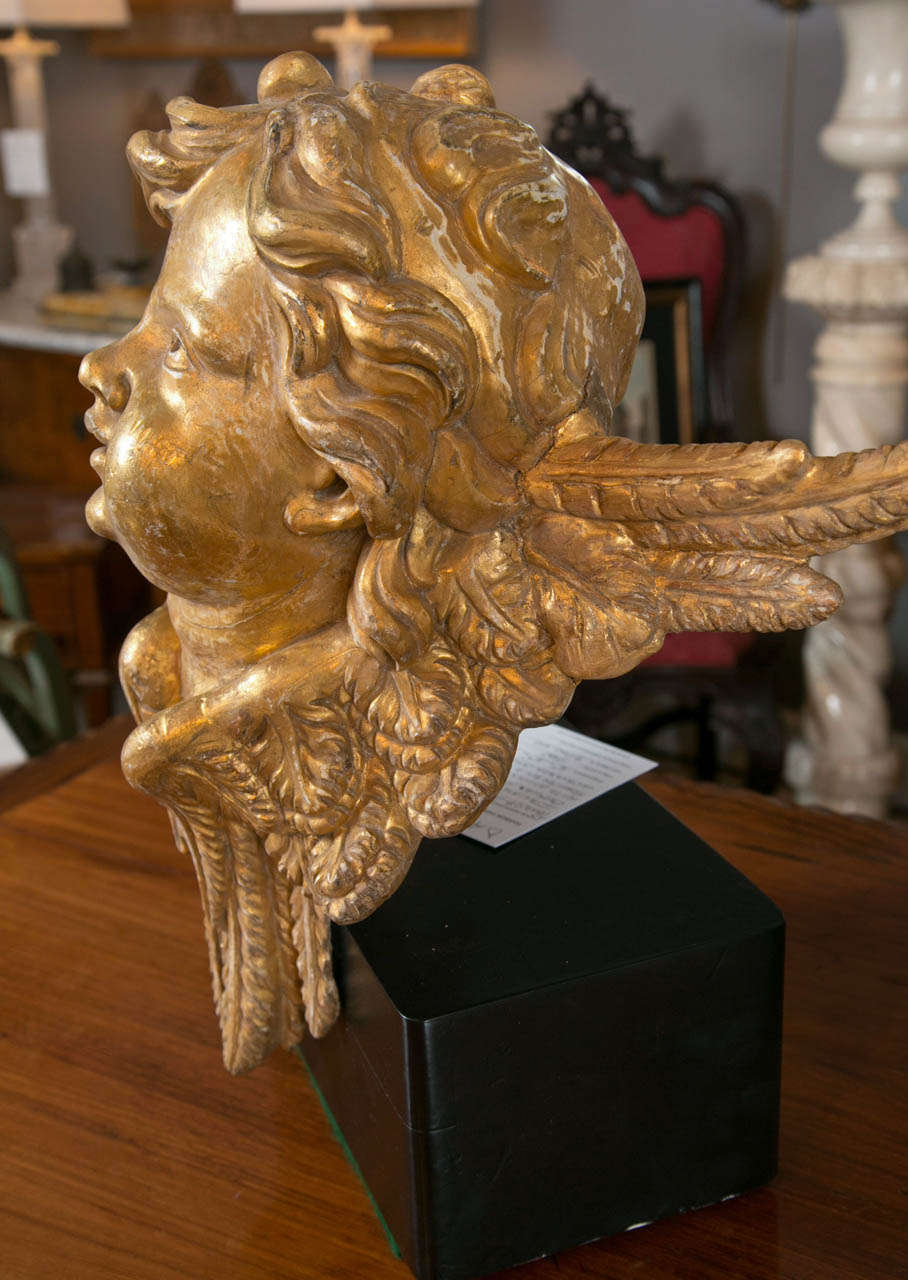Pair of Late 17th Century Italian Cherubs Heads at 1stDibs