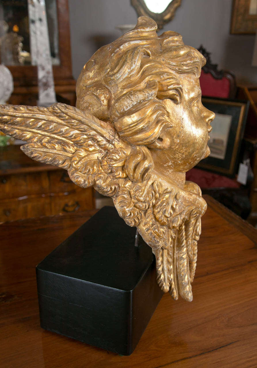 Pair of Late 17th Century Italian Cherubs Heads at 1stDibs