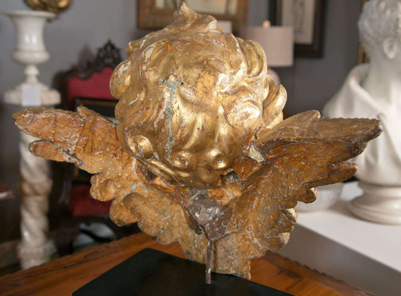 Pair of Late 17th Century Italian Cherubs Heads at 1stDibs
