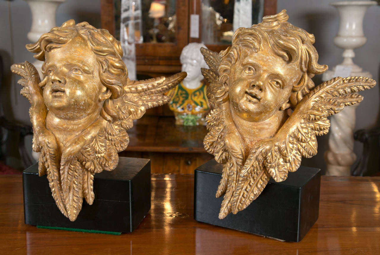 Pair of Late 17th Century Italian Cherubs Heads at 1stDibs