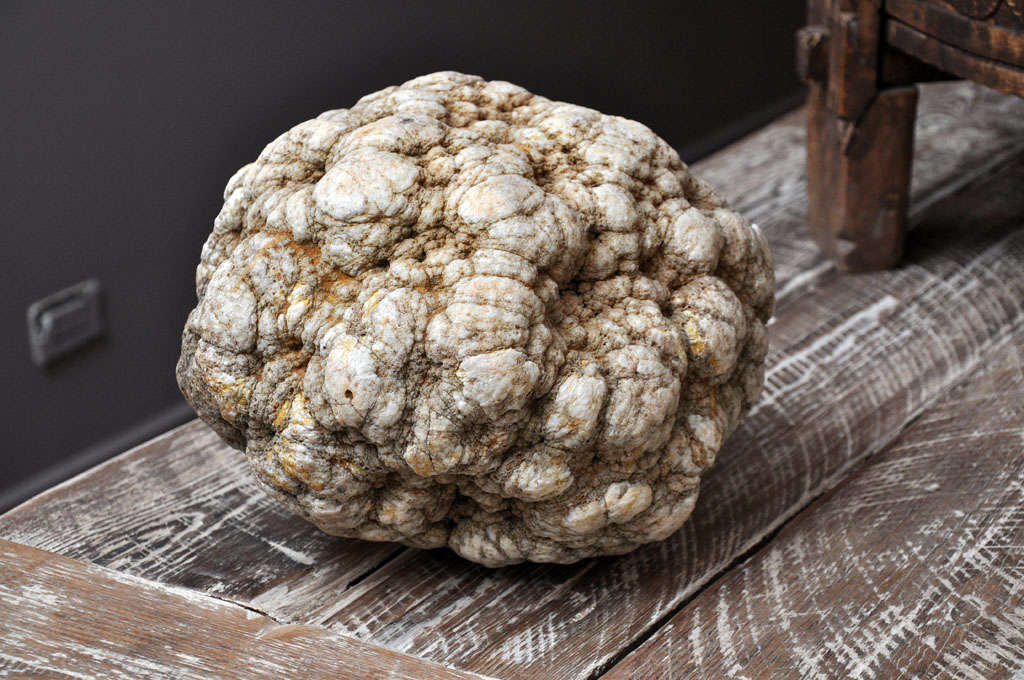 Thunder Egg Geode at 1stDibs | cauliflower geode, brain geodes ...