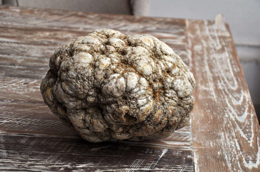 Thunder Egg Geode at 1stDibs | cauliflower geode, brain geodes ...