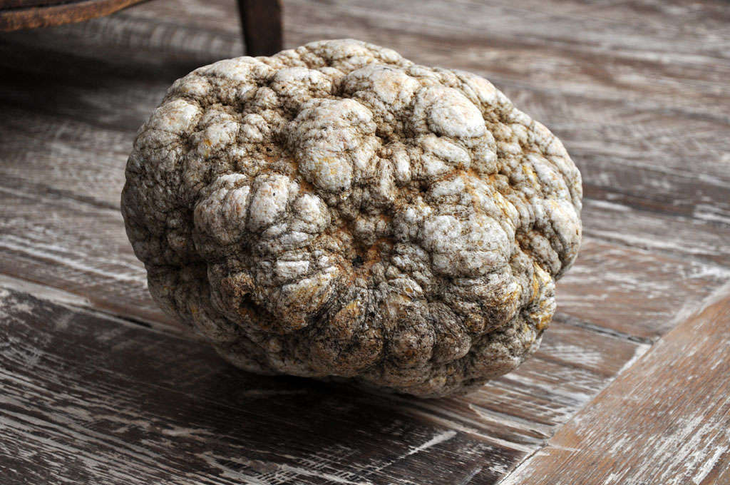 Thunder Egg Geode at 1stDibs | cauliflower geode, brain geodes ...