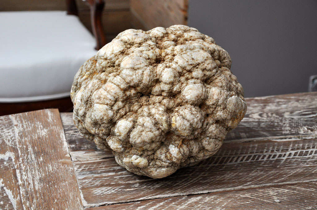 Thunder Egg Geode at 1stDibs | cauliflower geode, brain geodes ...