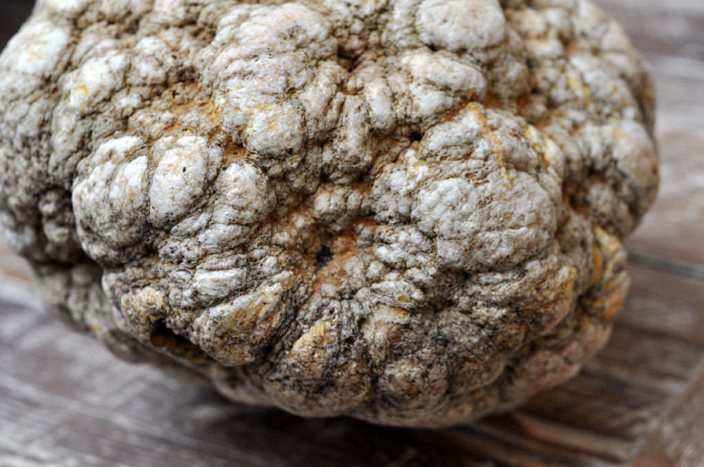 Thunder Egg Geode at 1stDibs | cauliflower geode, brain geodes ...