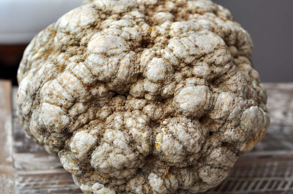 Thunder Egg Geode at 1stDibs | cauliflower geode, brain geodes ...