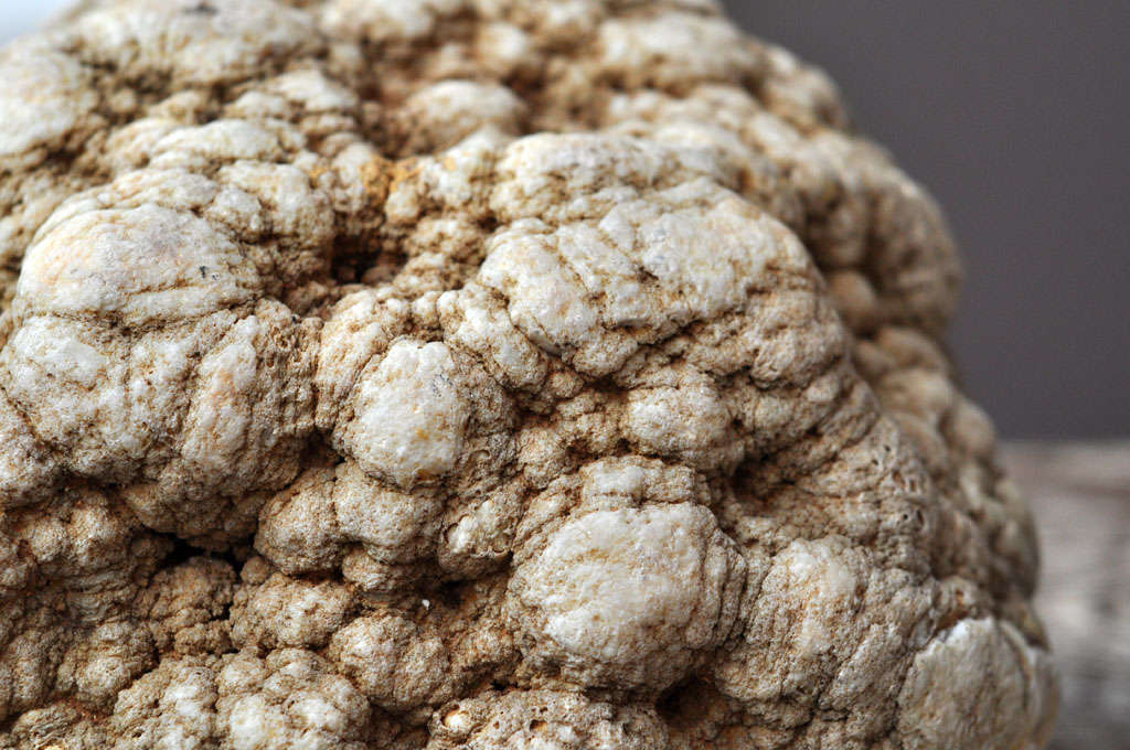 Thunder Egg Geode at 1stDibs | cauliflower geode, brain geodes ...
