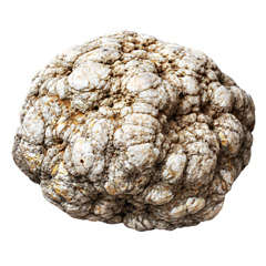 Thunder Egg Geode at 1stDibs | cauliflower geode, brain geodes ...