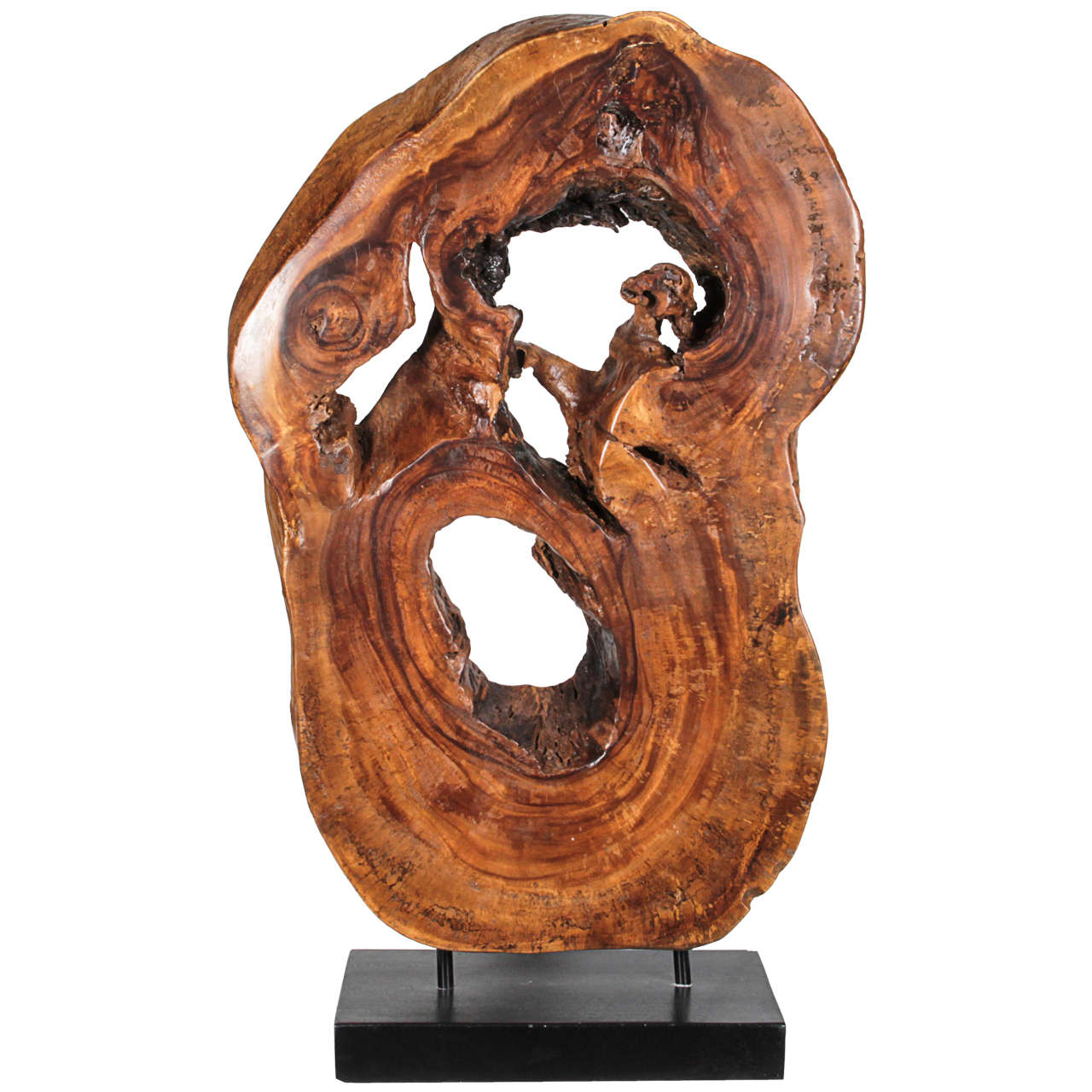 Thai Acacia Root Sculpture at 1stDibs