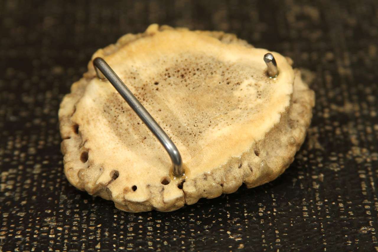 Bone and Stone Belt Buckle For Sale at 1stDibs | bone belt buckle, bone ...