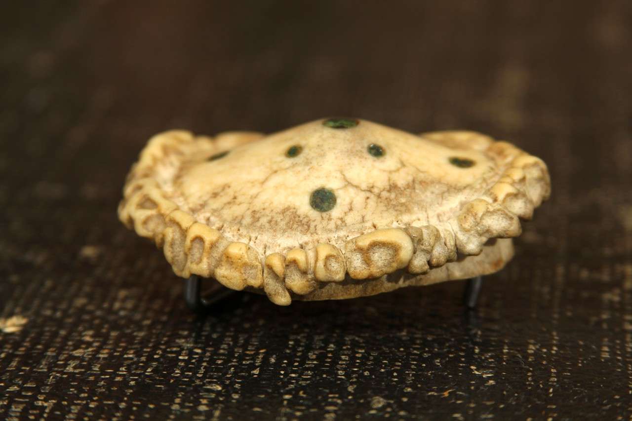 Bone and Stone Belt Buckle For Sale at 1stDibs | bone belt buckle, bone ...