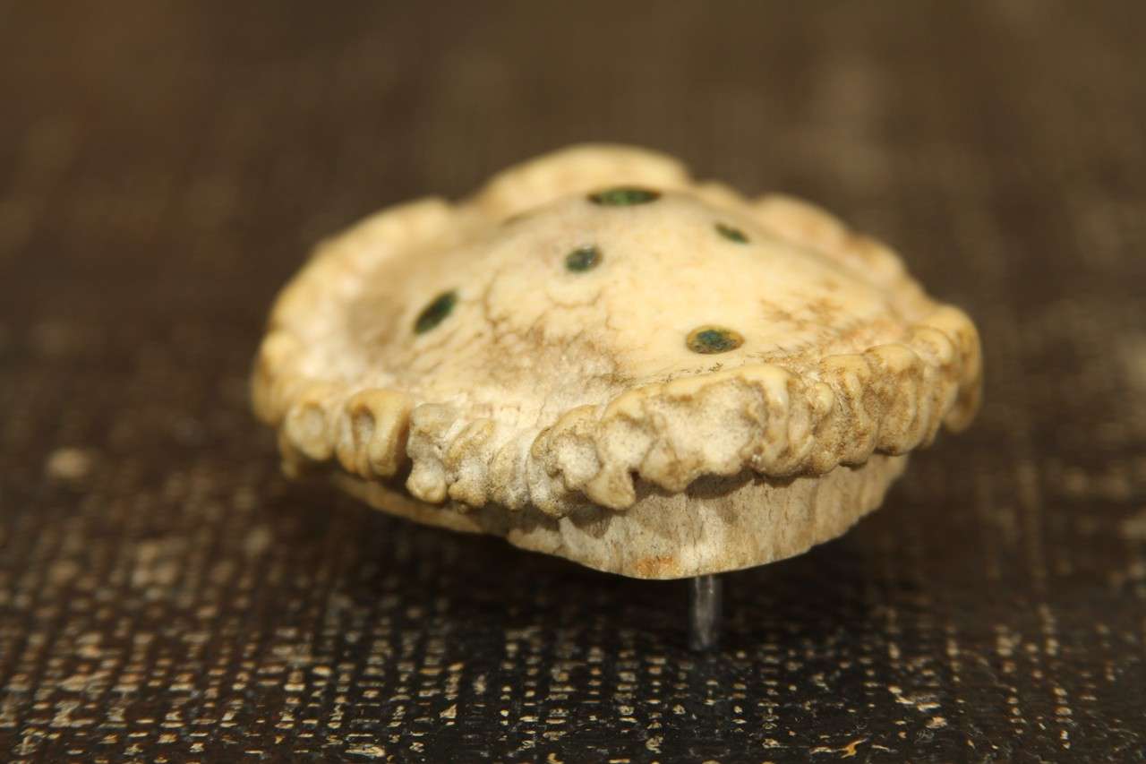 Bone and Stone Belt Buckle For Sale at 1stDibs | bone belt buckle, bone ...