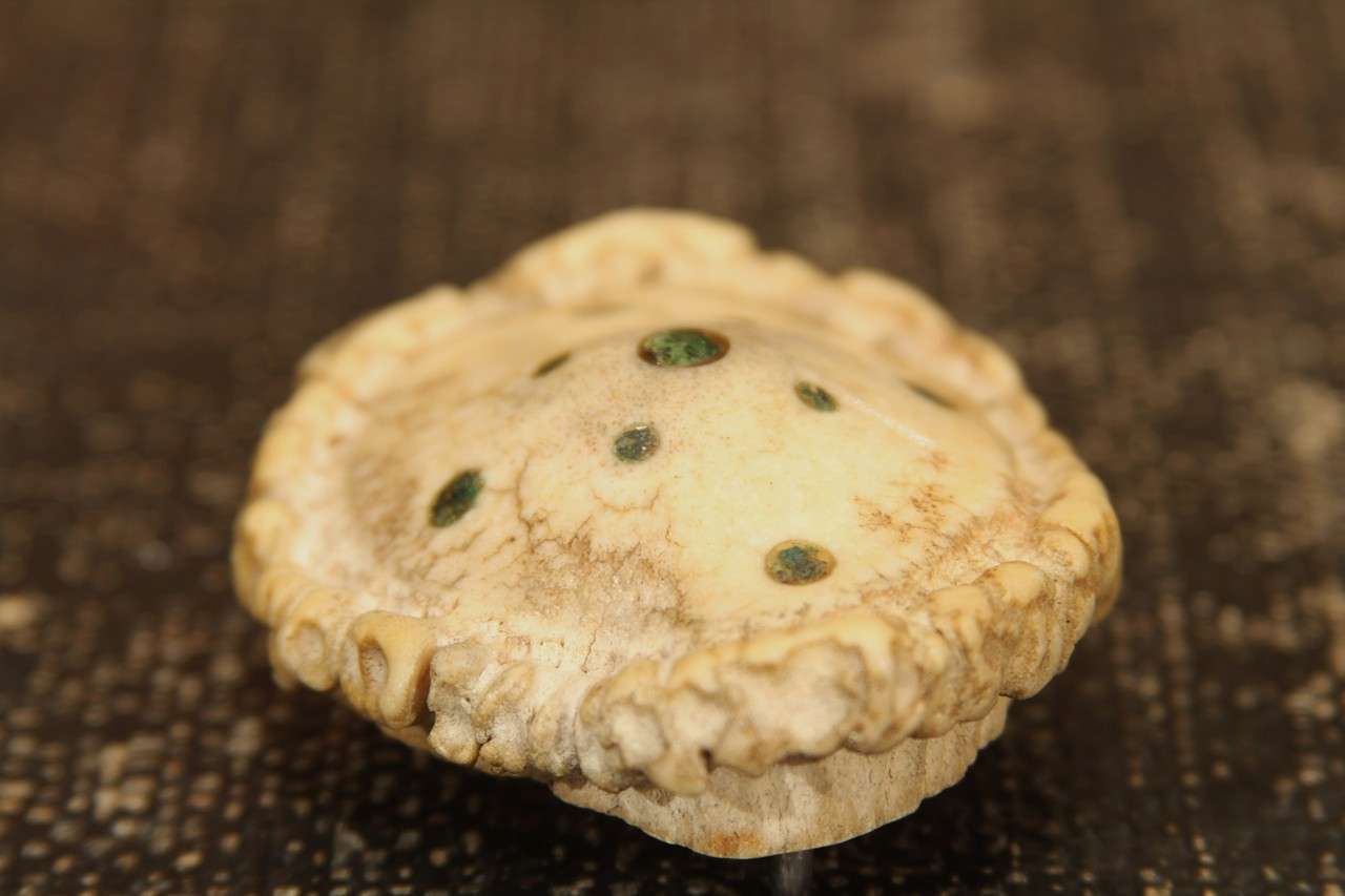 Bone and Stone Belt Buckle For Sale at 1stDibs | bone belt buckle, bone ...