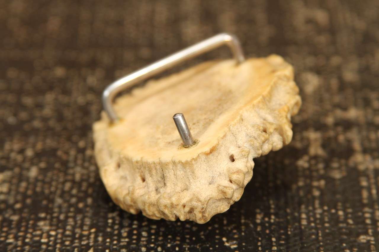 Bone and Stone Belt Buckle For Sale at 1stDibs | bone belt buckle, bone ...