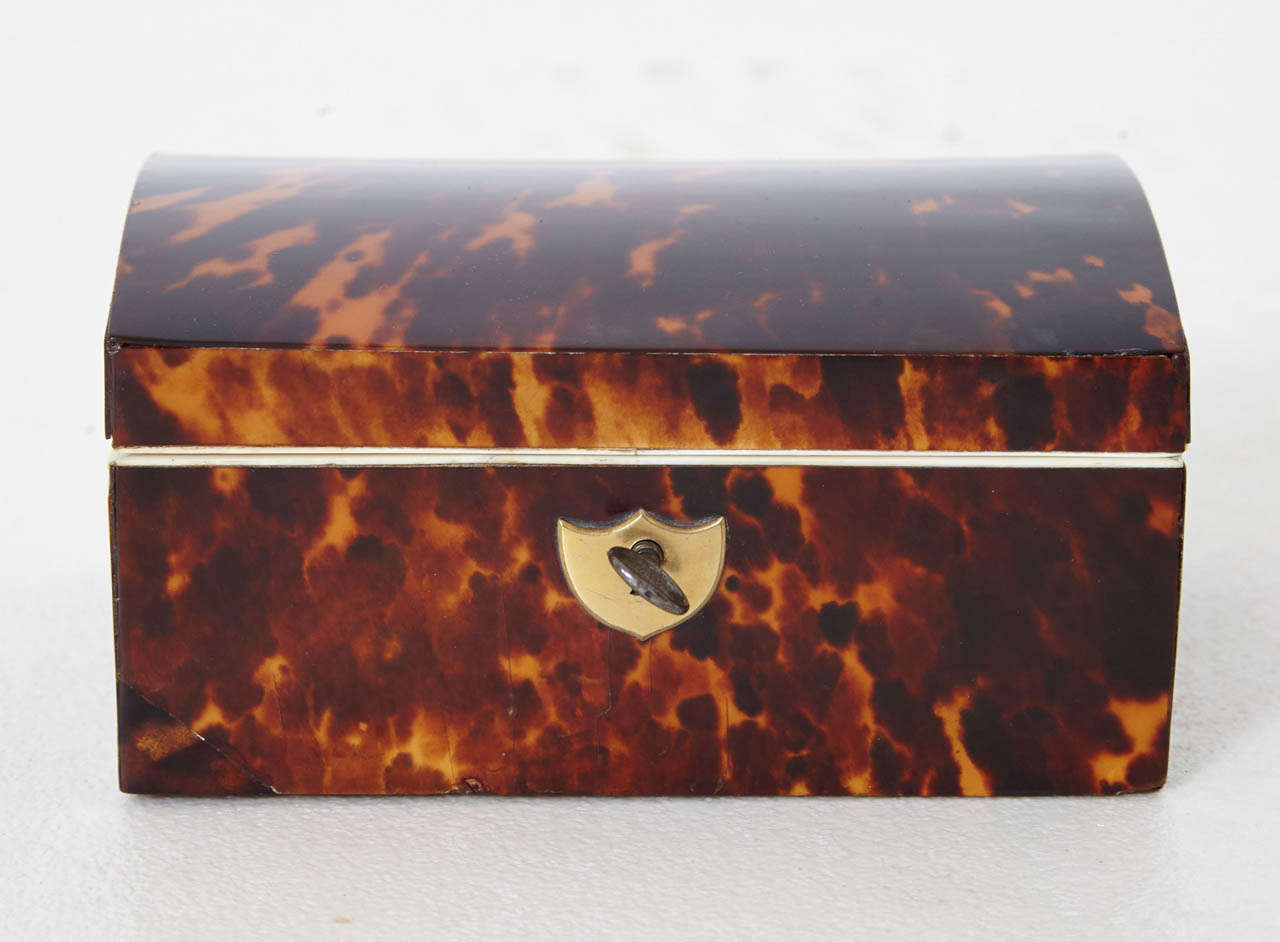 Small Box in Tortoiseshell at 1stDibs