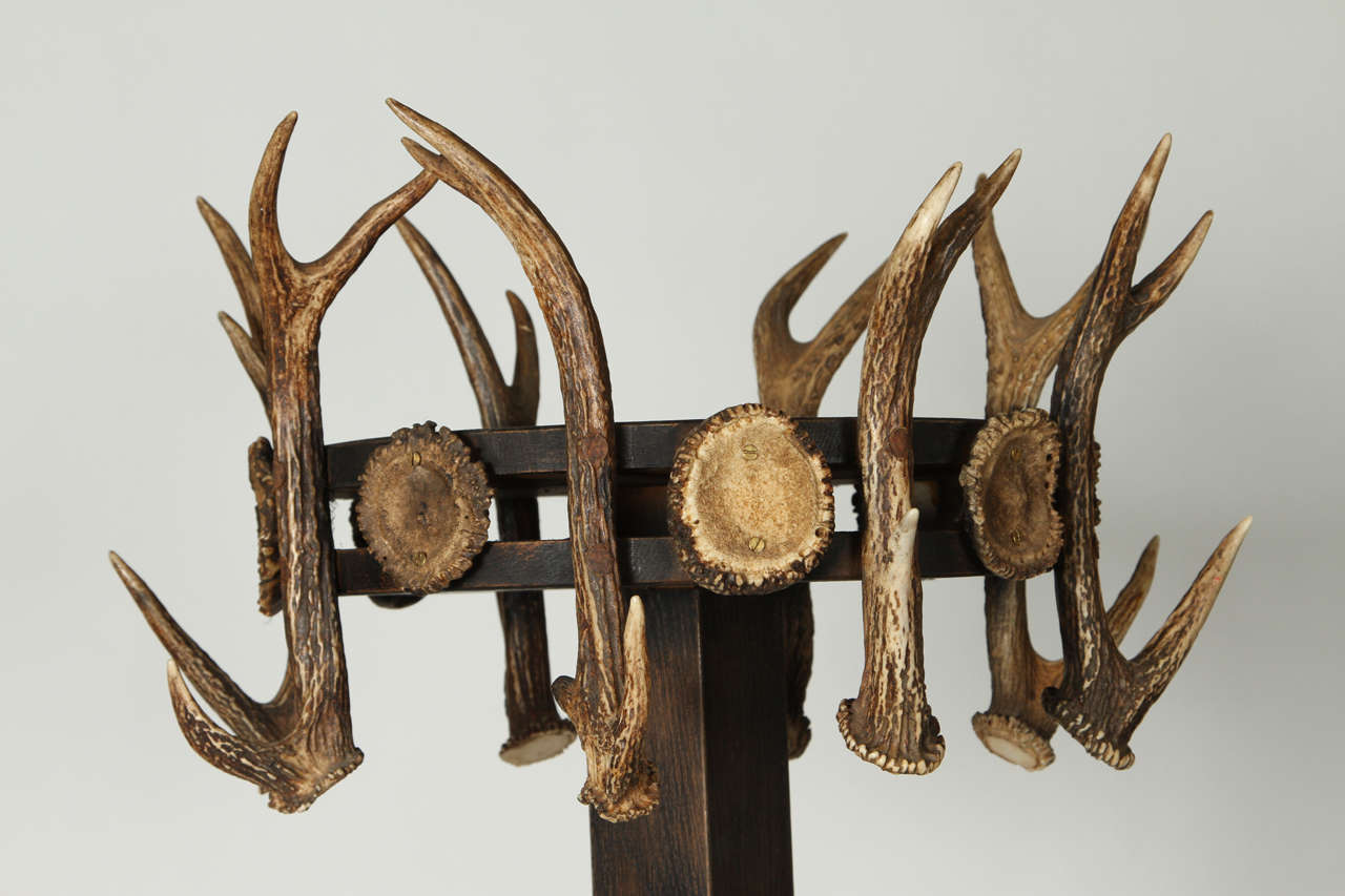 Antler Coat Rack at 1stDibs | deer antler coat rack, deer antler coat ...