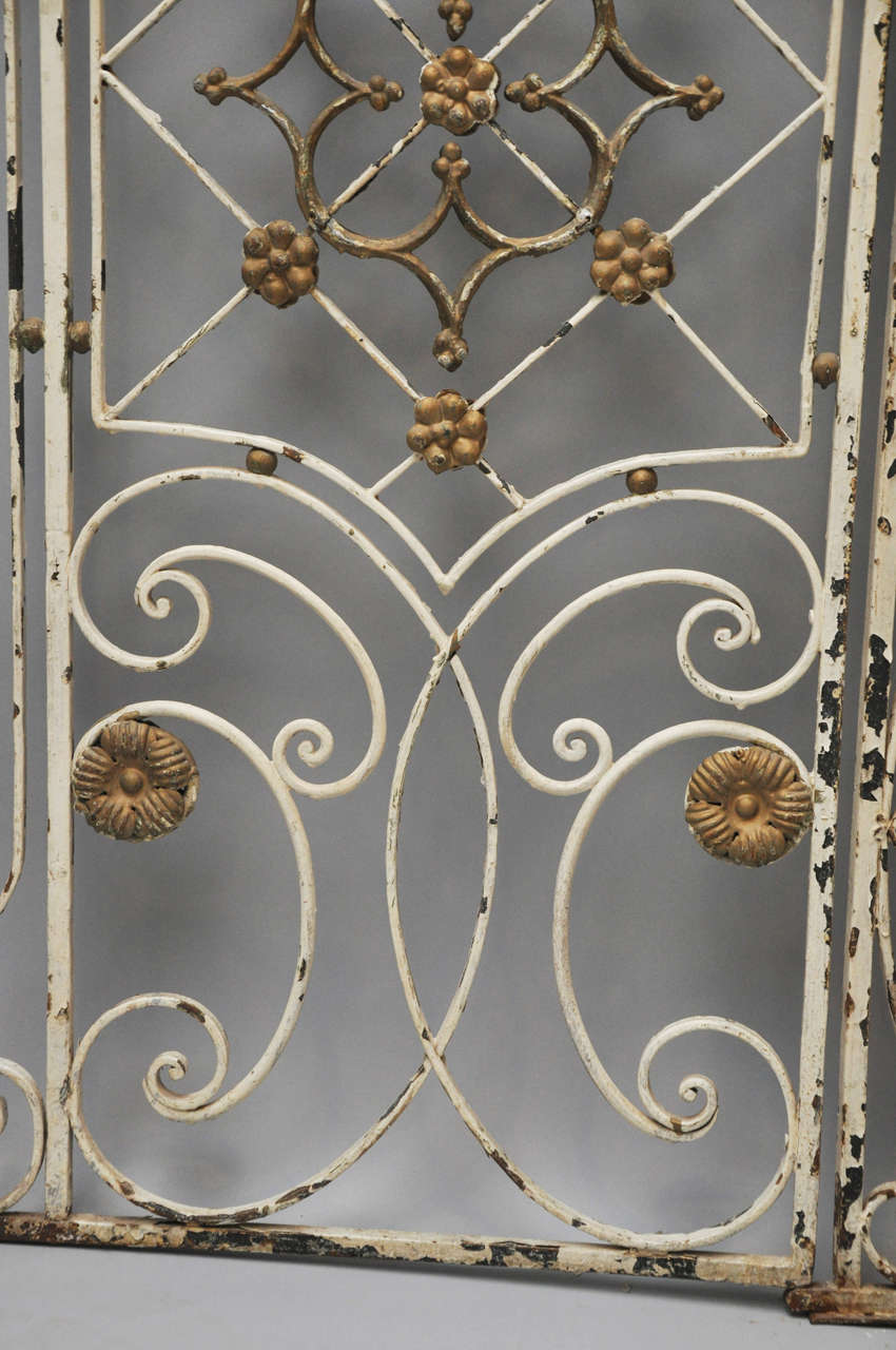 Pair of 19th Century French Painted Iron Gates at 1stDibs | french iron ...