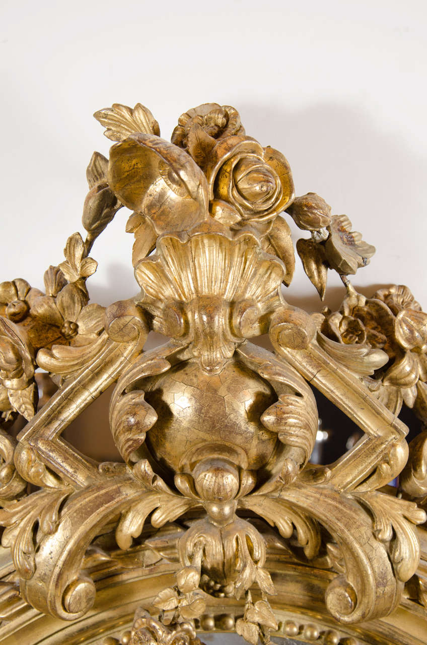 French Rococo Oval Mirror with 24-Karat Gold Gilt and Foliage Details ...