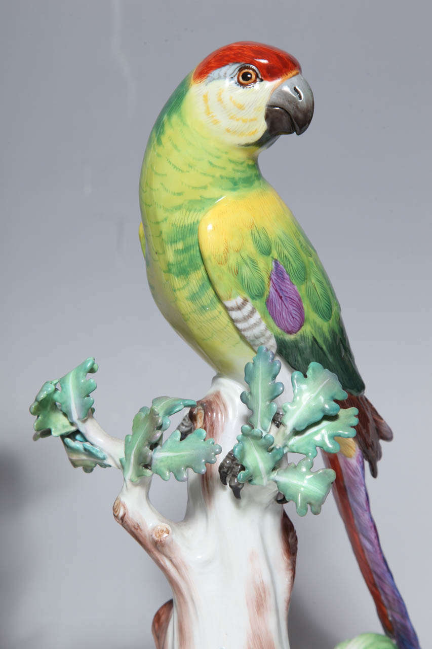 Pair of Meissen Porcelain Figures of Parrots at 1stDibs | meissen ...