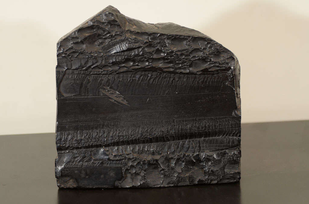 A Large Whitby Jet Specimen at 1stDibs