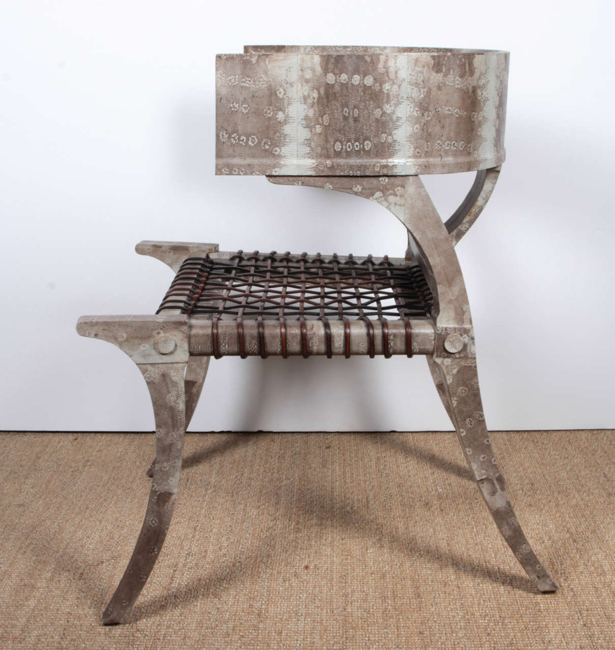 Natural Grey Lizard Klismos Chair For Sale at 1stDibs