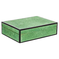 Exotic Shagreen Box with Ebonized Wood Trim at 1stDibs