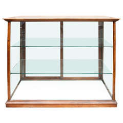 19th Century Display Case from England at 1stDibs