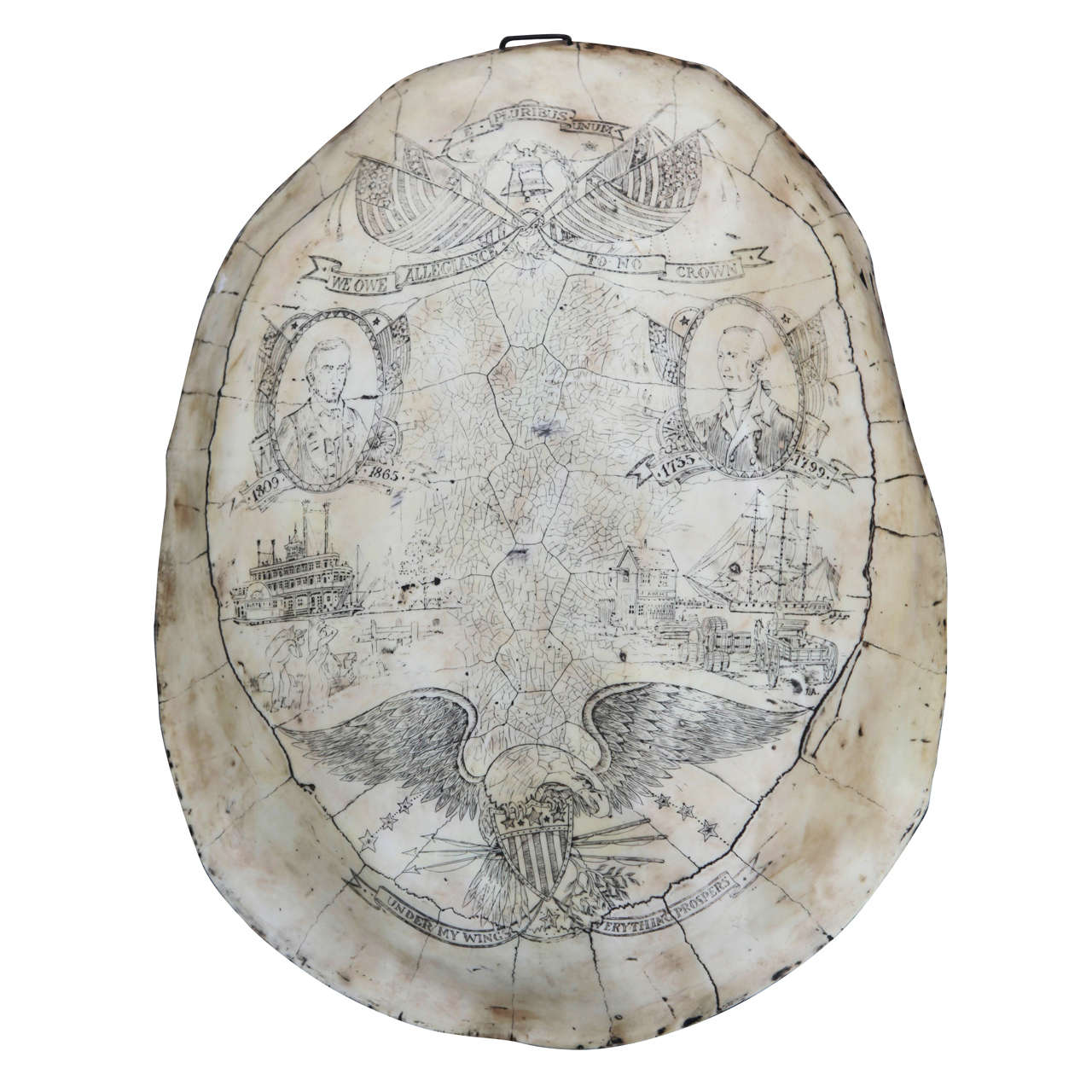 Simulated-Turtle Shell For Sale at 1stDibs