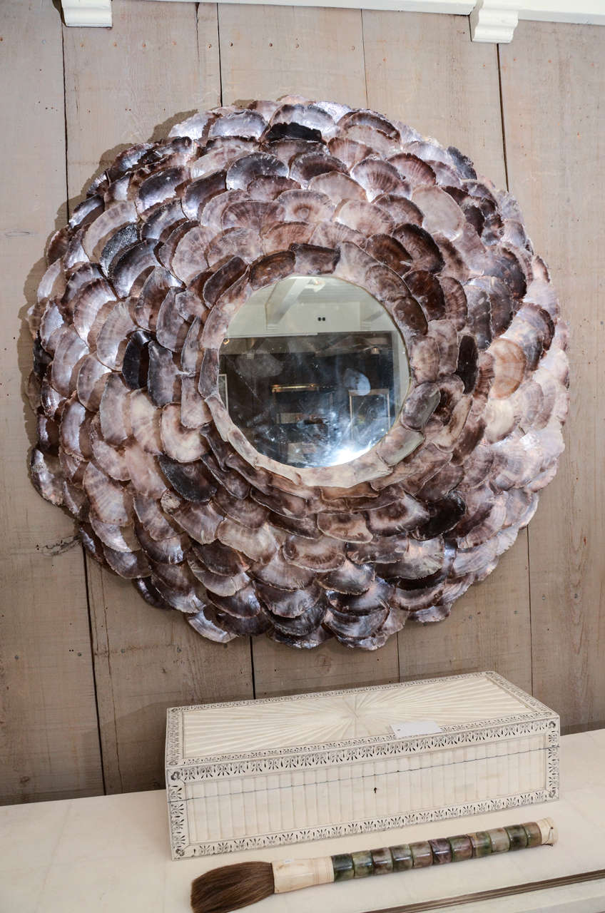 Round Natural Sea Shell Mirror at 1stDibs