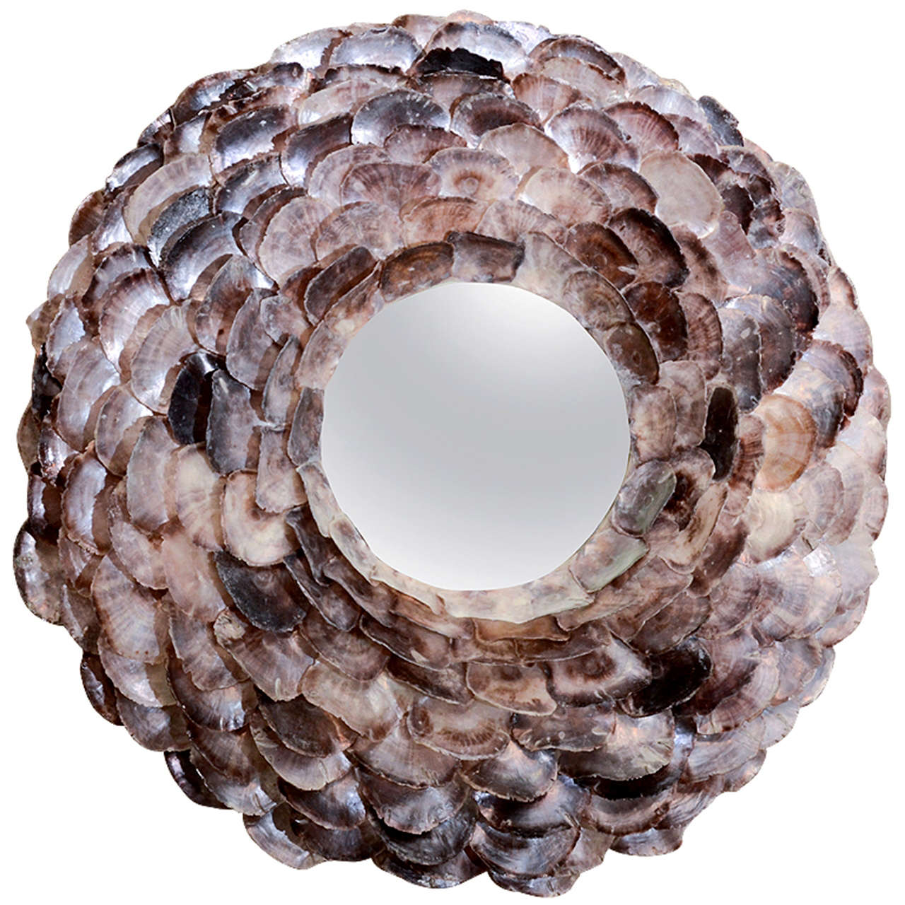 Round Natural Sea Shell Mirror at 1stDibs