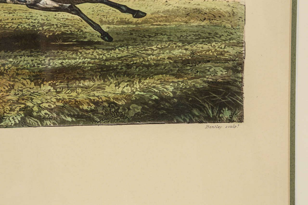 Alken Steeplechase Etching #3 at 1stDibs