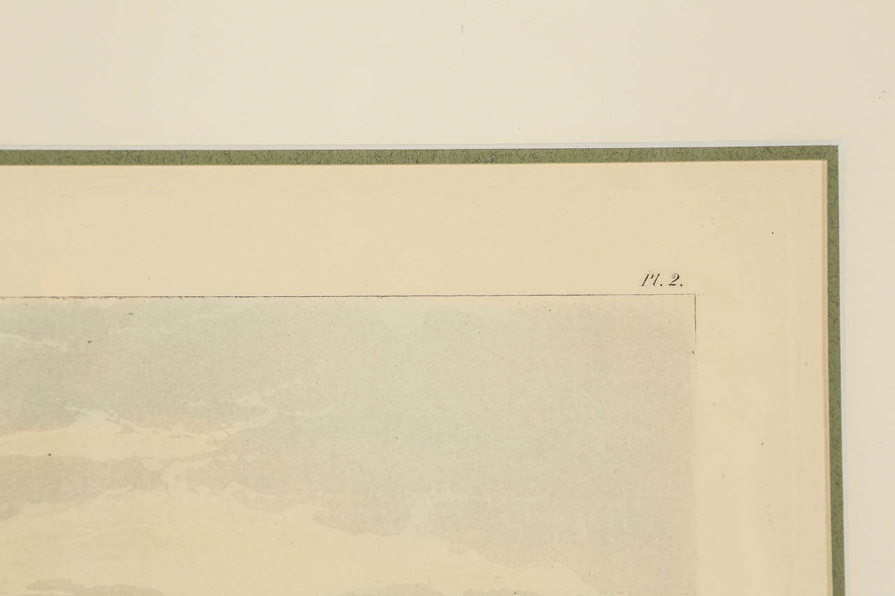 Alken Steeplechase Etching #3 at 1stDibs