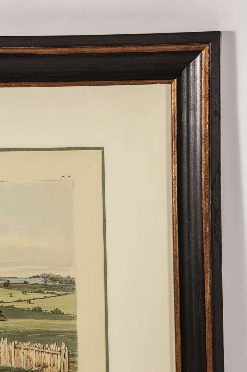 Alken Steeplechase Etching #3 at 1stDibs