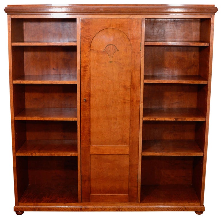Neoclassical Mahogany, Birch and Ash Biedermeier Bookcase at 1stDibs