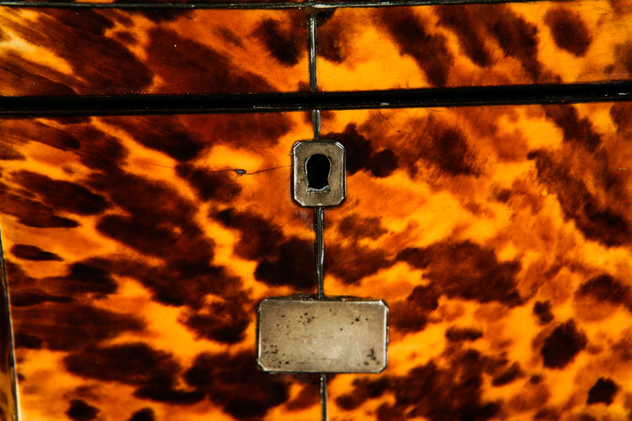 19th c. English Regency Tortoise Shell Box with Sterling Inlay at ...