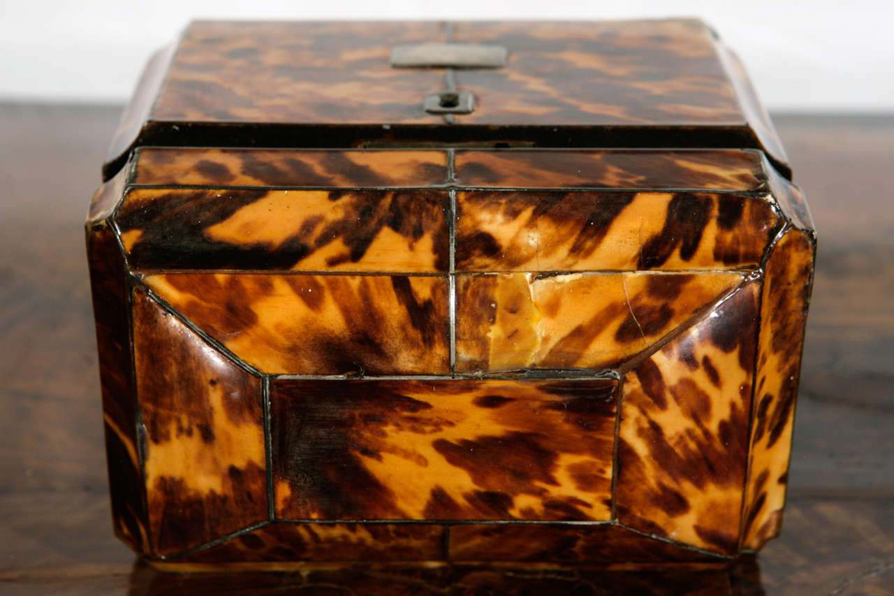 19th c. English Regency Tortoise Shell Box with Sterling Inlay at ...
