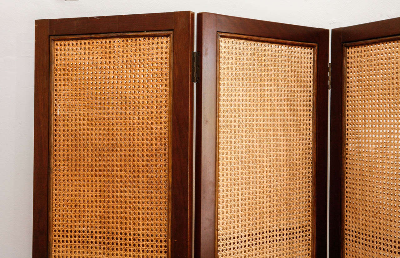 Mid-century Rattan Screen at 1stDibs