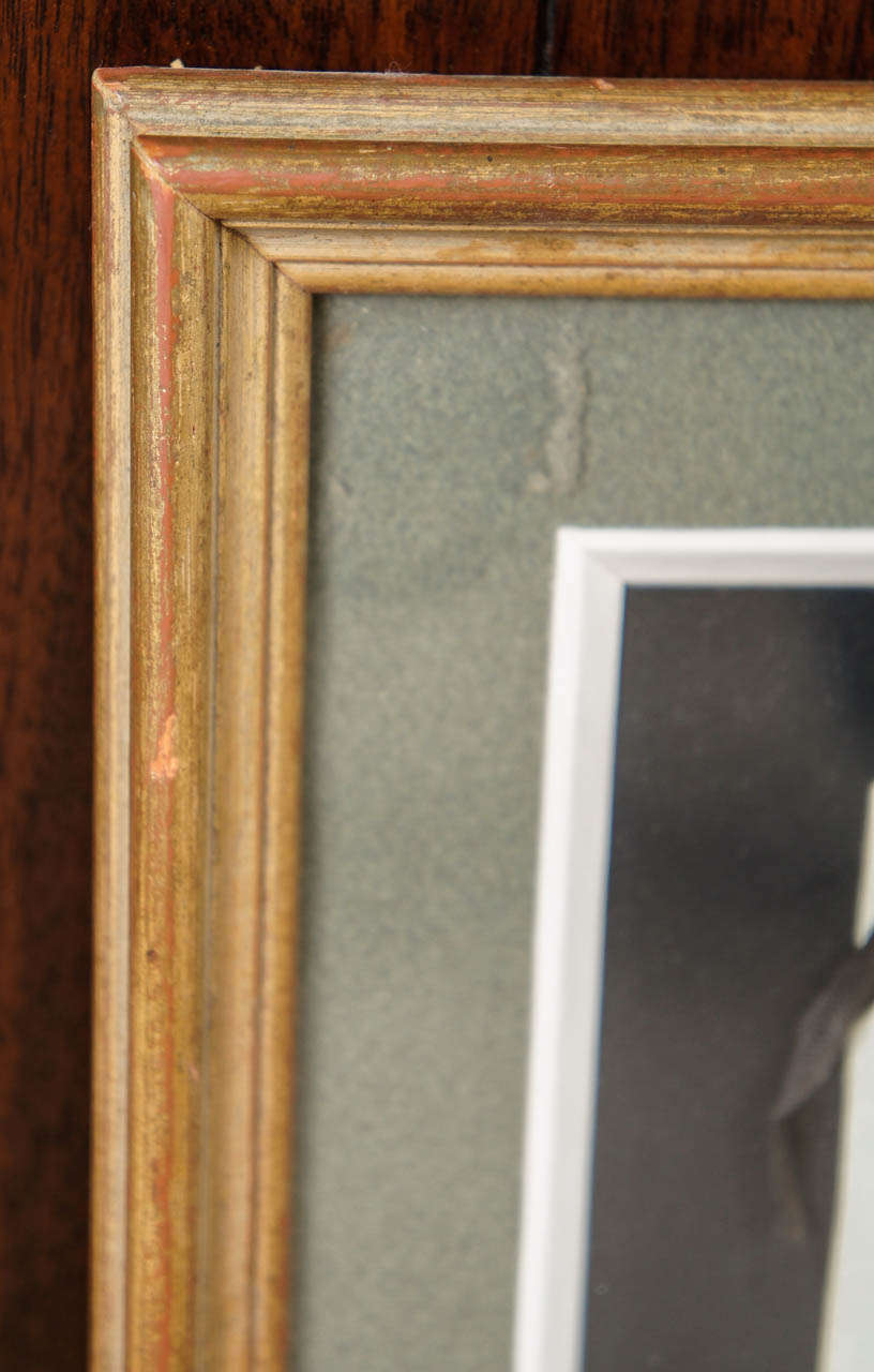 French 18th Century Framed Document For Sale at 1stDibs | framed documents