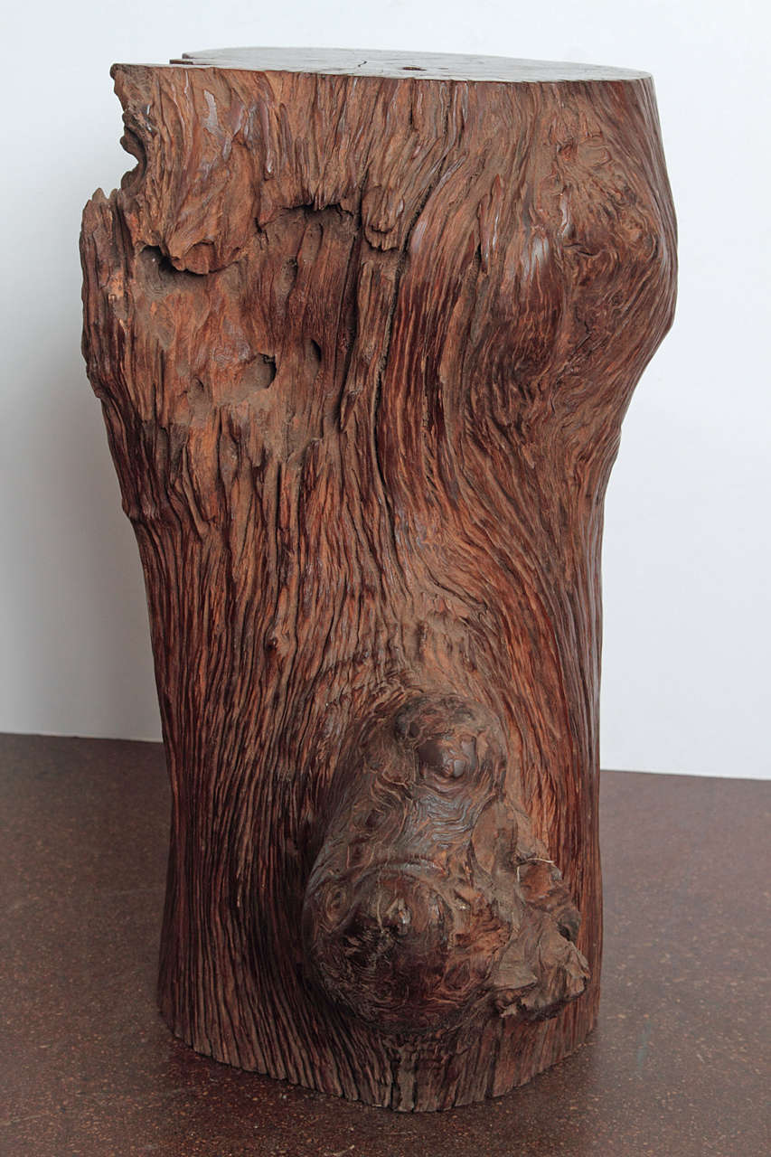 Organic Ironwood Tree Trunk at 1stDibs | tree trunk for sale, tree ...