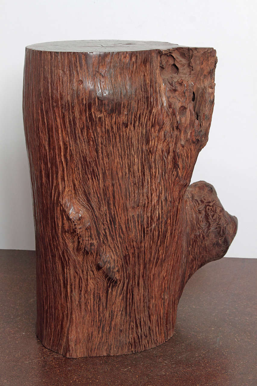Organic Ironwood Tree Trunk at 1stDibs | tree trunk for sale, tree ...