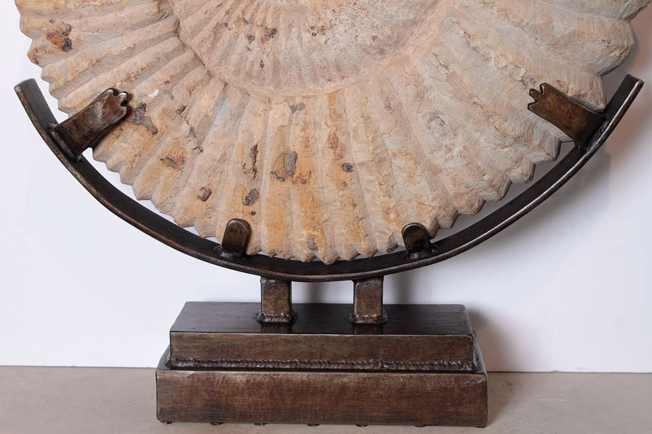 Large Shell Fossil Sculpture on Custom Iron Mount at 1stDibs