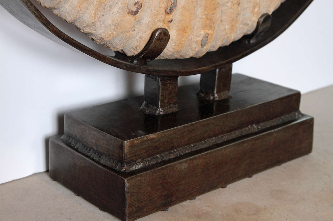 Large Shell Fossil Sculpture on Custom Iron Mount at 1stDibs