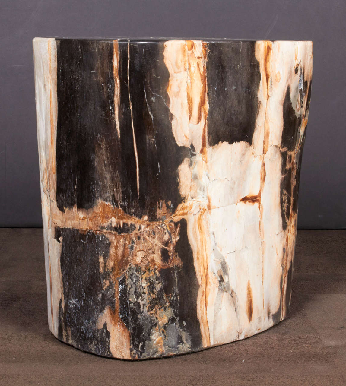 Exquisite Petrified Wood Side Table with Natural Striped Top at 1stDibs ...