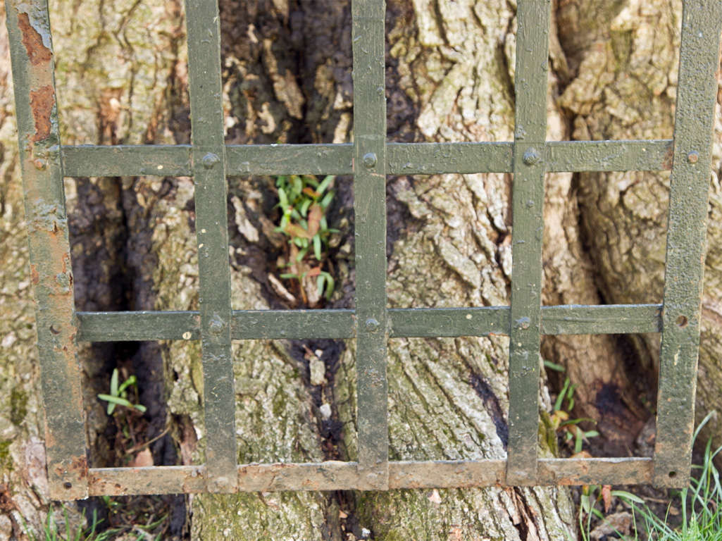 Wrought-iron Trellis at 1stDibs | wrought iron trellis, rod iron ...